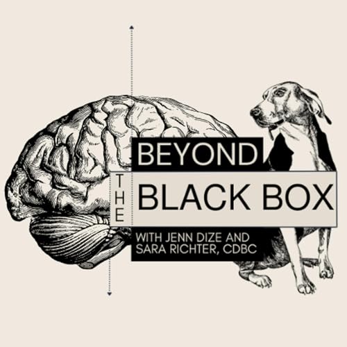 Amazon.com: Beyond the Black Box : Sara Richter CDBC & Jenn Dize ...