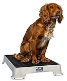 Place Board Training For Dogs - 2025 - A Complete Guide