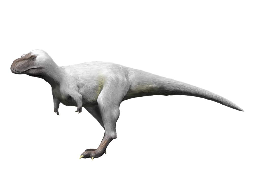 Nanuqsaurus