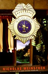 The Golden Hour: A Novel: Weinstock, Nicholas: Amazon.com: Books