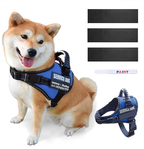 Custom Dog Harness – The 15 best products compared - Wild Explained