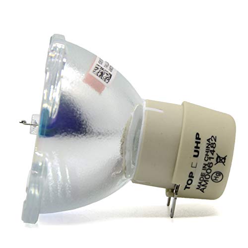 Rich Lighting プロジェクター 交換用 ランプ タイプ16, 512771 RICOH RICOH PJ HD5451 ...