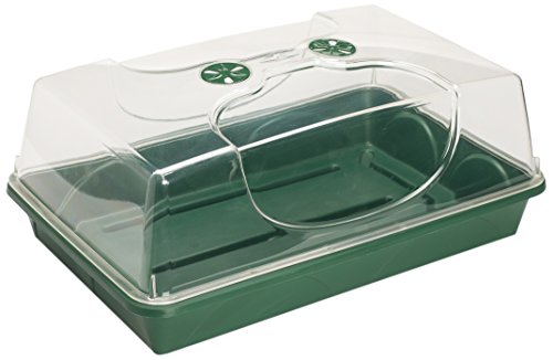 Amazon.co.uk Best Sellers: The most popular items in Propagators
