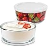 Amazon.com: Ultimate Yogurt Containers 2 Pack - Make More Yogurt with 1 ...