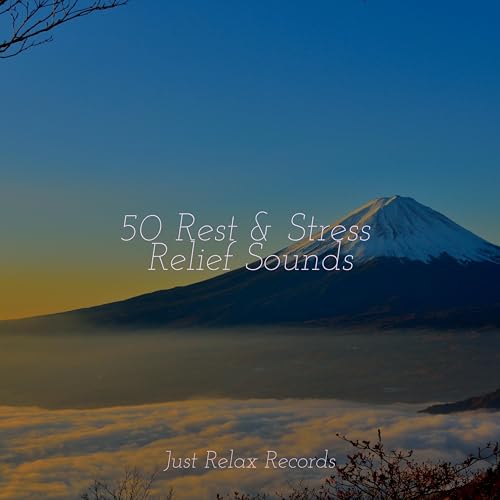 Play 50 Rest & Stress Relief Sounds by Musica Romantica, Natural Sounds ...