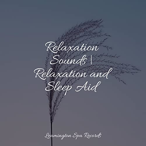 Relaxation Sounds | Relaxation and Sleep Aid by Natural Sample Makers ...