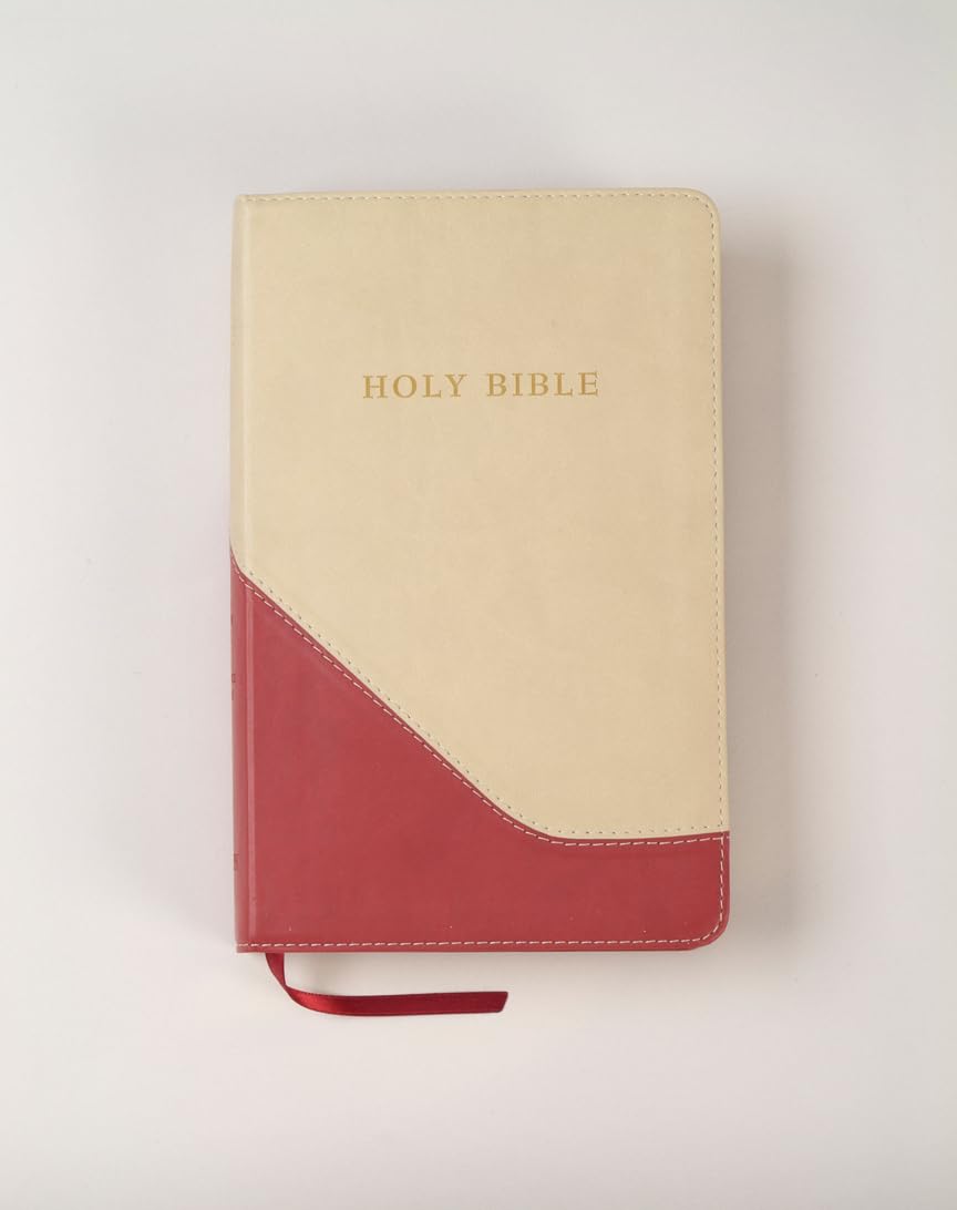 The Holy Bible: King James Version, Brick Red/sand, Imitation Leather ...