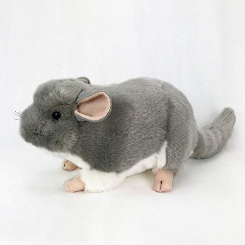 10 Must-Have Products for Your Adorable Fluffy Chinchilla: A Review and ...