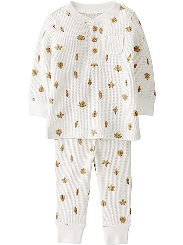 little planet by carter's 2-Piece Organic Cotton Set Review: The Gold ...