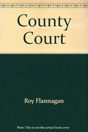 County Court: Flannagan, Roy: Amazon.com: Books