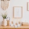 Amazon.com: Roshtia 8 Set Reed Diffuser Bottle Empty Fragrance Glass ...