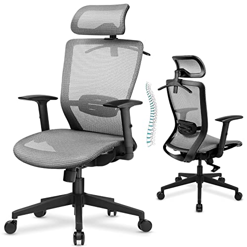 Top 10 Best Mesh Bottom Office Chair : Reviews & Buying Guide - Katynel