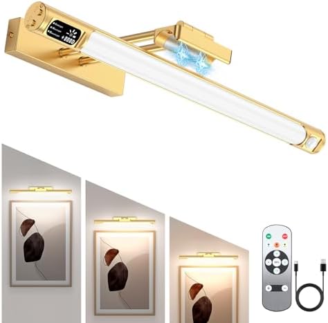 Amazon.com: BIGLIGHT Wireless Battery Operated LED Picture Light with ...