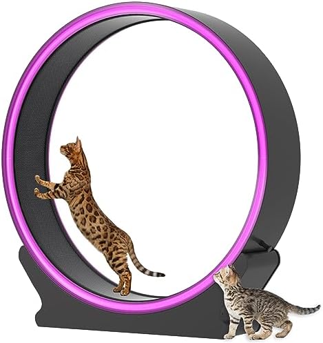 Amazon.com: MIWOOYY Large Cat Exercise Wheel with LED Lights - 40 inch ...