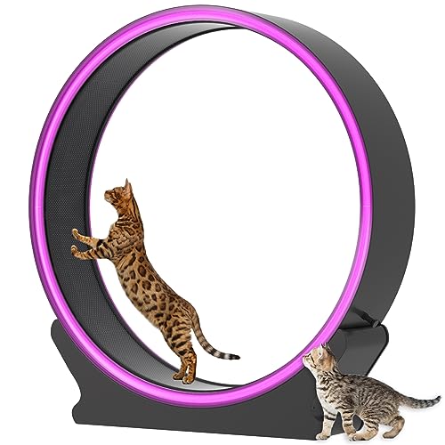 Cat Exercise Wheel with Lights - Cat Exercise Wheel