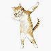 Amazon.com - Dabbing Cat Kitten Funny Dab Tee Cool Dance Kitty Vinyl ...