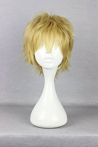 Amazon.com : Anime Short Linen Party of Cosplay Wigs : Beauty ...