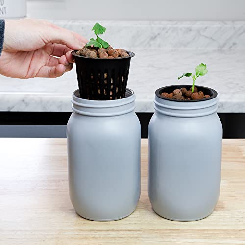 Hydroponic Mason Jar Starter Kit (10-Piece Set); w/Painted Mason Jars ...