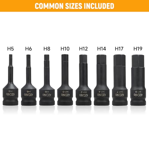 Hoteche 8PC 1/2-Inch DR Multi-Tooth Nut Set – CR-MO Material, M5-M18 ...