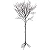 Amazon.com: National Tree Company Artificial Tree Decoration, Black ...