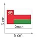 Amazon.com : Oman Flag Temporary Tattoos Sticker Body Tattoo : Beauty ...