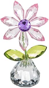Amazon.com: Ganz Crystal Expressions Happy Petals Radiant Daisy ...