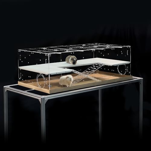 Amazon.com : GuineaLoft™ Custom Acrylic Cage (Model-A3) for Guinea Pigs ...
