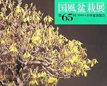 Amazon.com: 65th Bonsai Kokufu Exhibition Book - Nippon Bonsai ...