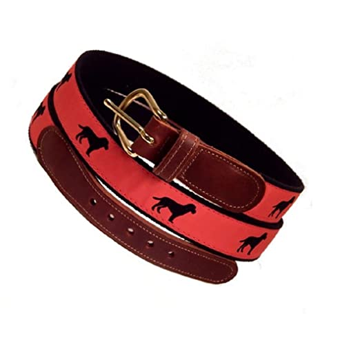 10 Best Leather Dog Belts for the Perfect Combo of Style and Comfort ...