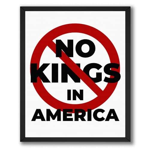 Amazon.com: InkFlow Posters Democratic Values Poster - Bold Anti ...