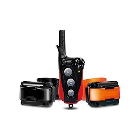 Amazon.com: Dogtra iQ Plus Remote Trainer (2 Dog) : Pet Supplies