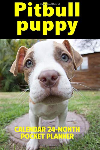 Pitbull Puppy Calendar 24-month Pocket Planner: Notebook, Daily ...