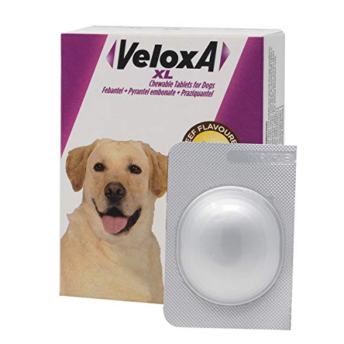 Veloxa XL Chewable Dog Wormer, 4 Tablets - Pet Foods & Supplies