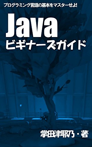 Java Beginners Guide Let Master Java Programming Primer Series Libro