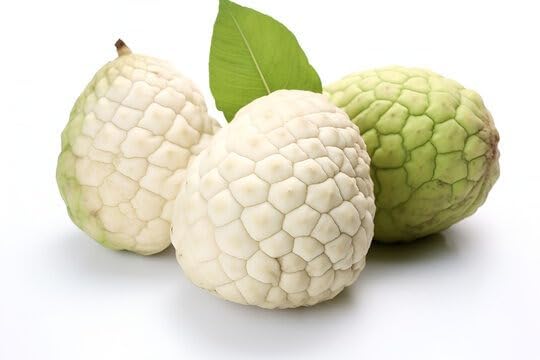 Custard Apple Super Golden Sitafal Ata Variety Sugar Apple Fruit ...