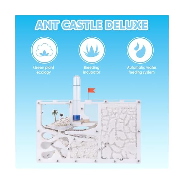 Ant Farm Castle,Habitat Science Learning Kit, Farms for Live Ants,Study ...
