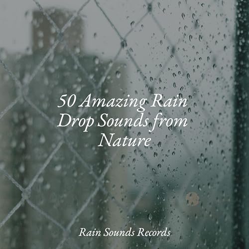 Play 50 Amazing Rain Drop Sounds from Nature by Anxiety Relief, New Age ...