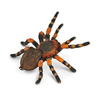 Buy Collecta Mexican Redknee Tarantula, Multi Color Online at Low ...