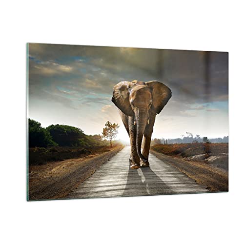 Glasbild Elefant – Die 15 besten Produkte im Vergleich - Heim & Werk ...