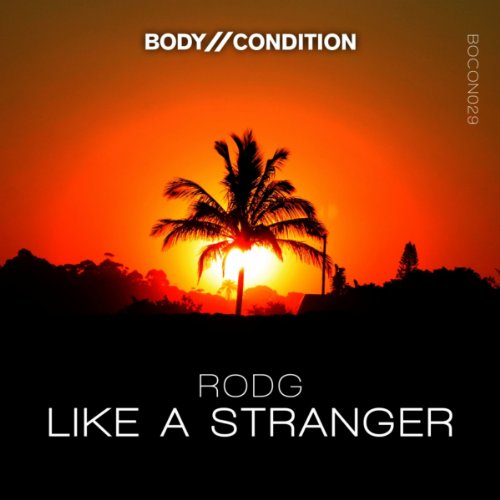 Amazon.com: Like A Stranger : Rodg: Digital Music