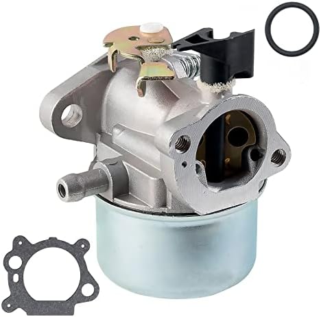 Amazon.com: Realman 493422 494216 494971 498965 698056 Carburetor Kit ...