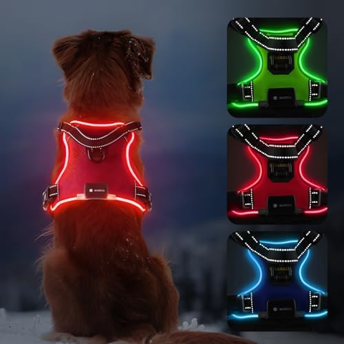 Amazon.com : MASBRILL Led Dog Harness - No Pull Light Up Dog Harness ...