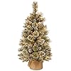 Amazon.com: National Tree Company Pre-lit Artificial Mini Christmas ...