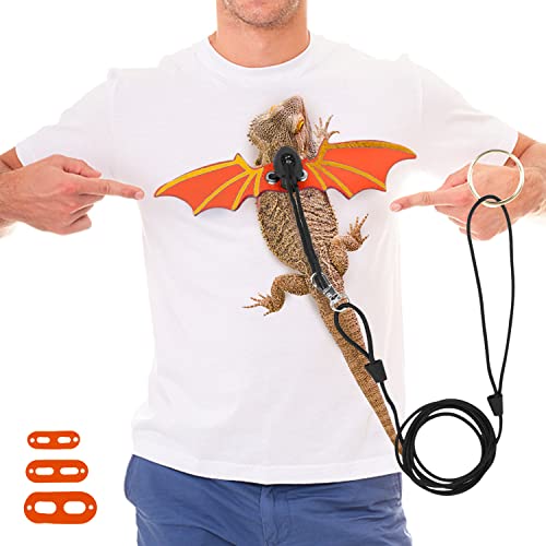 Amazon.com New Releases: The best-selling new & future releases in ...