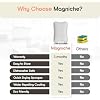 Amazon.com: Magniche 3-in-1 Dishwashing Cleaning Kit - Magnetic Sponge ...