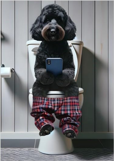 Parksmoonprints A4 Black Cockapoo Sitting on Toilet on Mobile Phone ...