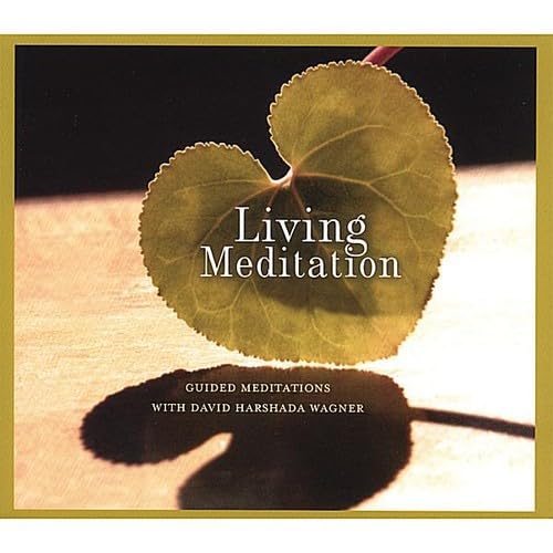 Music for Deep Meditation : Living Meditation: Guided Meditations with ...