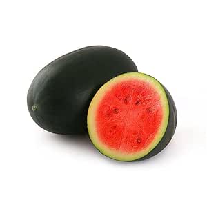 Gourmet Garden Organic Watermelon Kiran, 1Pc : Amazon.in: Grocery ...