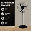 Buy STAR MODI COPPER High Speed 2800 RPM Mark-2 Pedestal Fan, 400 mm ...
