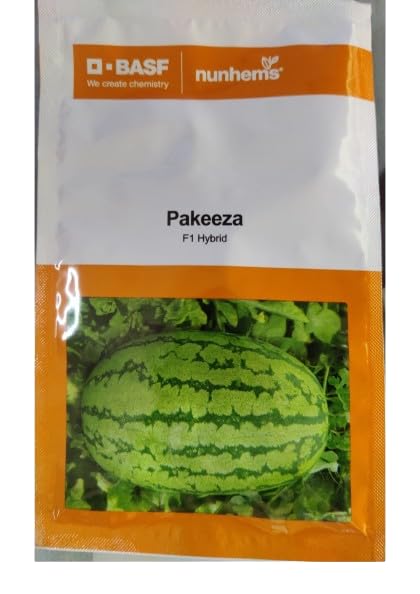Nunhems Pakeeza F1 Hybrid Watermelon Seeds - 500 Seeds for a Bountiful ...